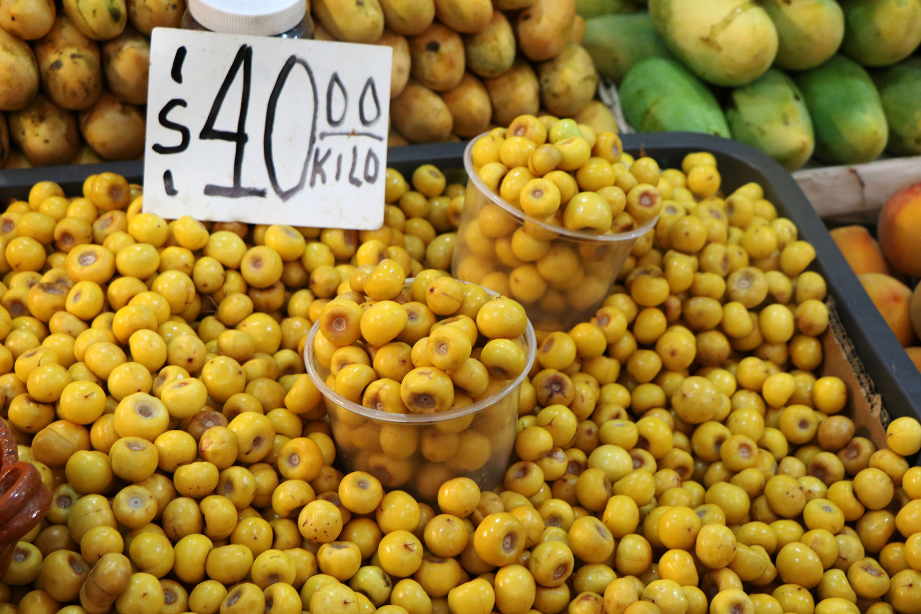 Temporada de frutas exóticas en México - Estado del Tiempo